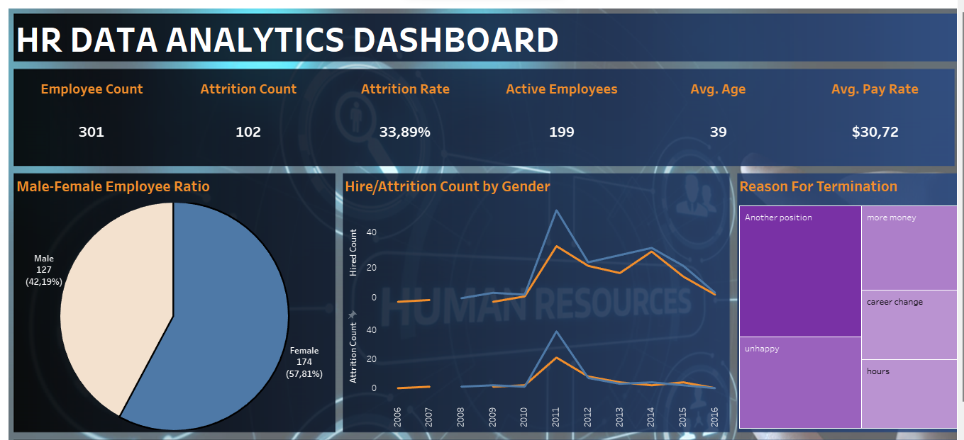 Siyabonga Mpengu Data Analysis Portfolio